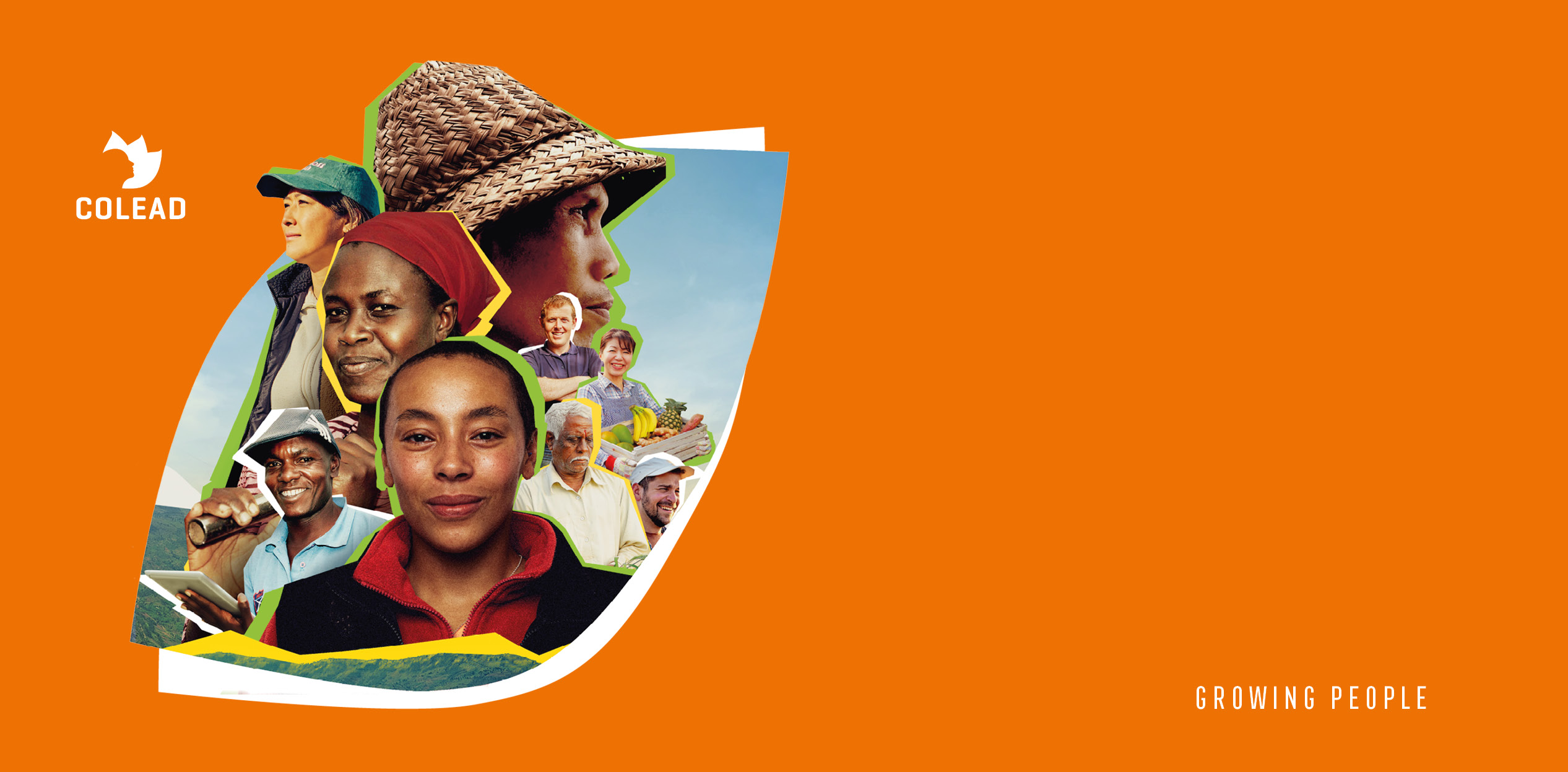 E-learning platform: IPM for Avocado with a specific focus on the newly emerging pest Persea ...